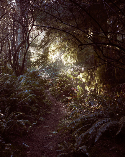 Three Ways To Keep The Fire Alive As A Photographer | Fstoppers