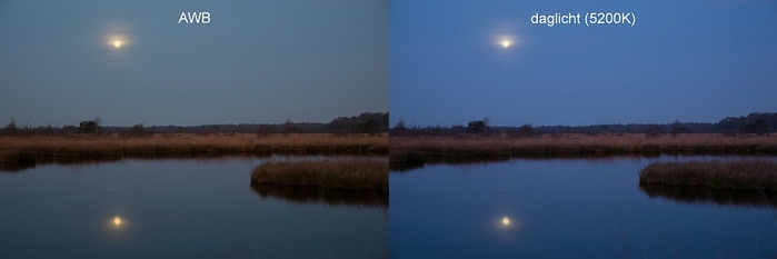 Never Trust Auto White Balance for Your Photography | Fstoppers