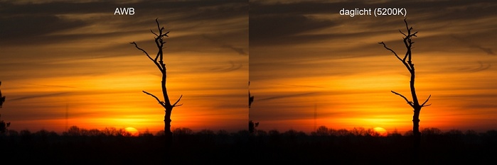 Never Trust Auto White Balance for Your Photography | Fstoppers