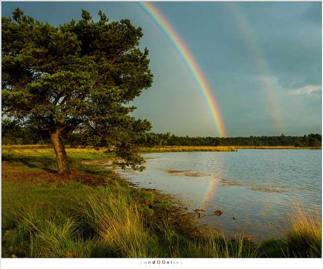 A Guide on How to Photograph Rainbows | Fstoppers