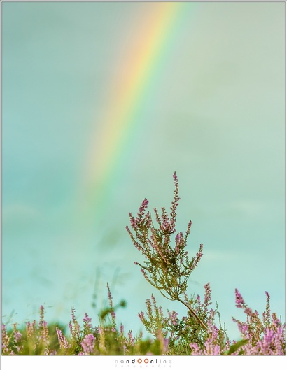 A Guide on How to Photograph Rainbows | Fstoppers