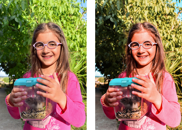 The Sigma fp Has a Built-In Teal and Orange Color Mode and It's ...