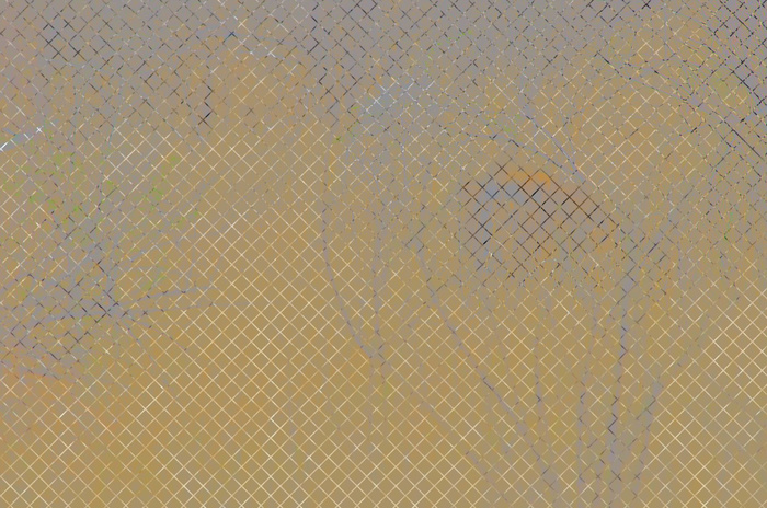 Neuroscience Kung Fu: Use Contrast to Immediately Guide the Eye to the ...