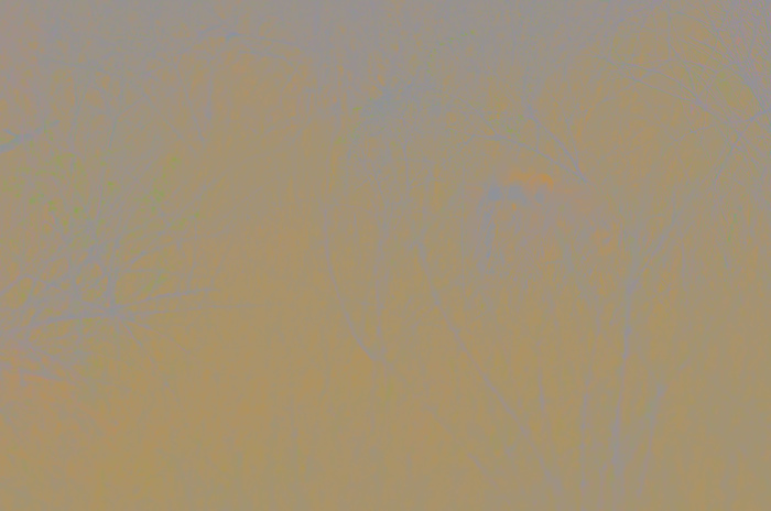 Neuroscience Kung Fu: Use Contrast to Immediately Guide the Eye to the ...