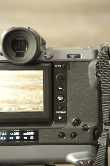 Tips for Shooting With the Fujifilm GFX 100 | Fstoppers