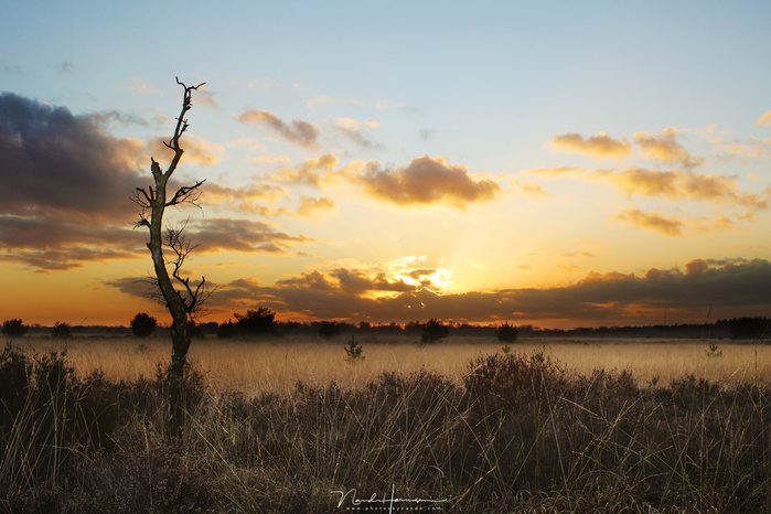 Playing With Focal Length and Manipulating the Background Without ...