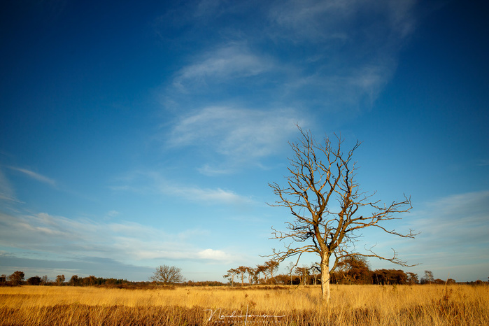How You Can Use Focal Length in a Different, More Creative Way | Fstoppers