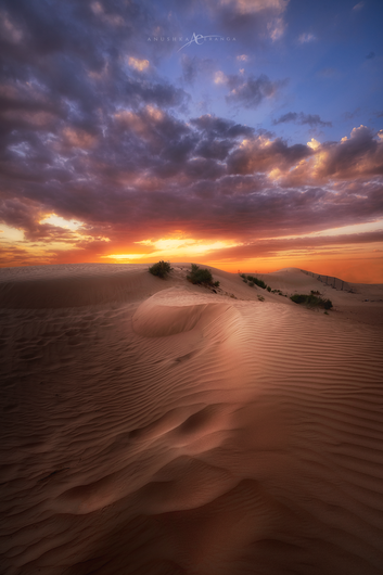 Learn to Master Desert Landscape Photography | Fstoppers