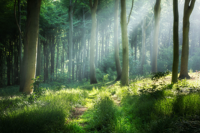 5 Simple Tips to Instantly Improve Your Landscape Photography | Fstoppers