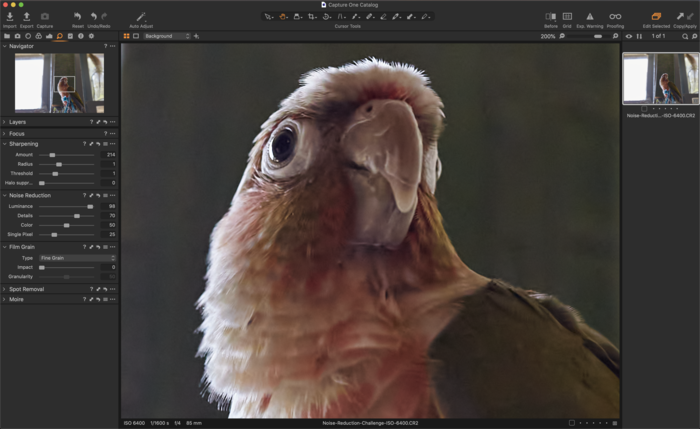 The Image Noise Reduction Challenge: We Compare the Best Noise ...