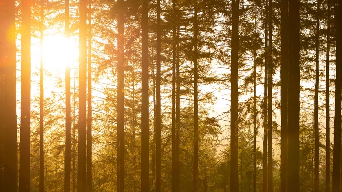 How to Take Perfect Sunset Landscapes | Fstoppers