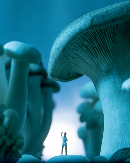 Travel Photographer Uses Food and Everyday Objects to Create 'Outdoor ...