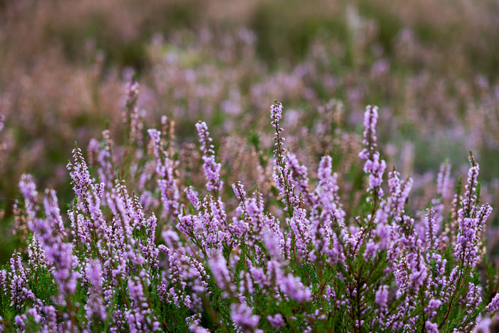 7 Simple Tips to Create a Strong Depth in Your Photos | Fstoppers