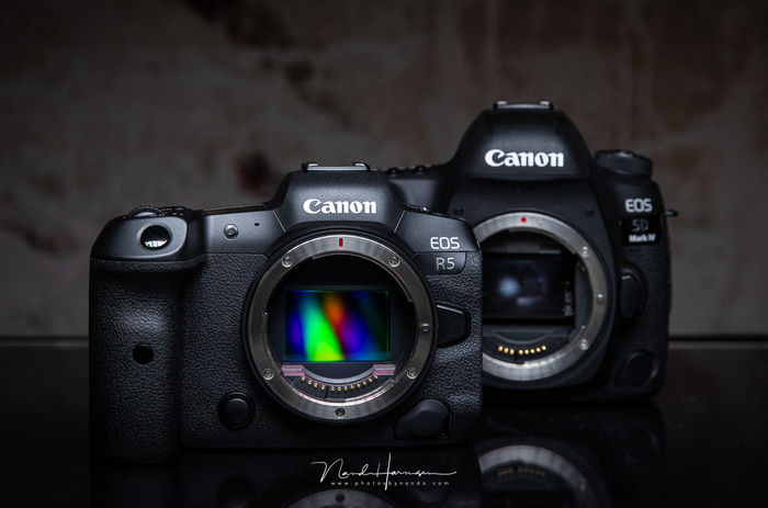 Fstoppers Reviews the Canon EOS R5 From a Photographer's Perspective ...