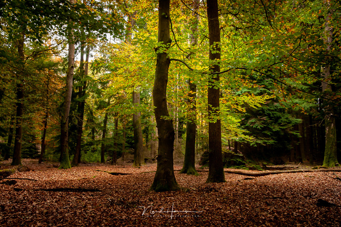 Looking Back at the Canon EOS 20D, and How Does It Compare to Today’s ...