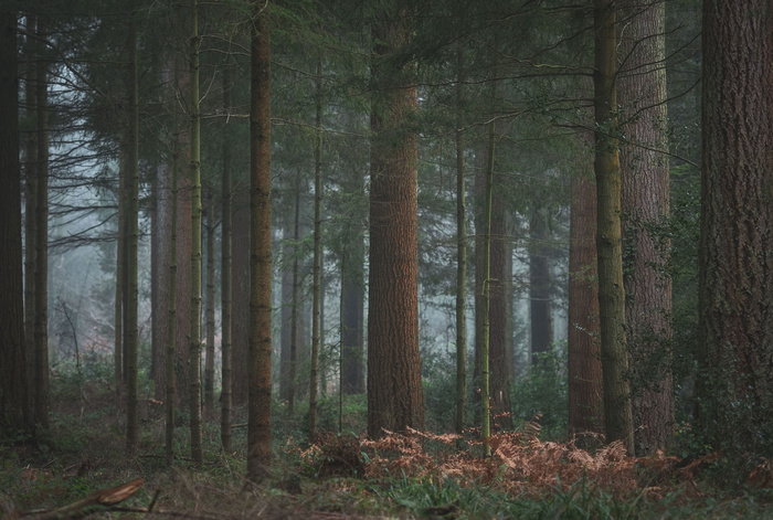 The Power of the Zoom | Fstoppers
