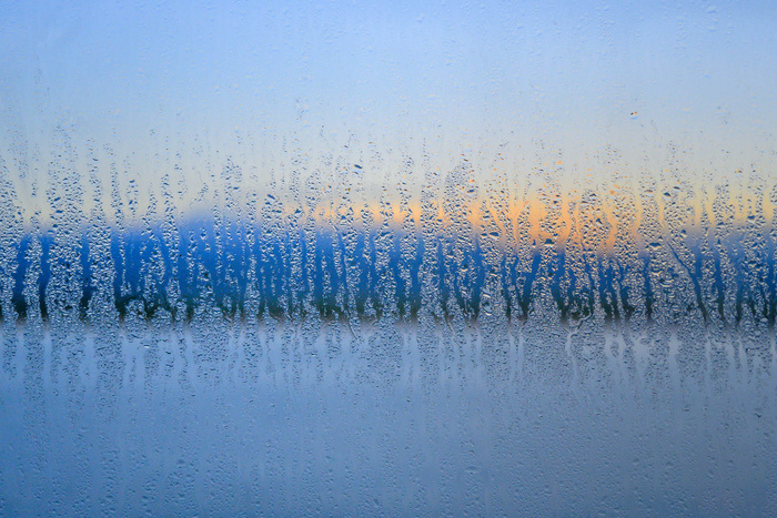 11 Ways To Improve the Sharpness of Your Images, Part 6: Dust and ...