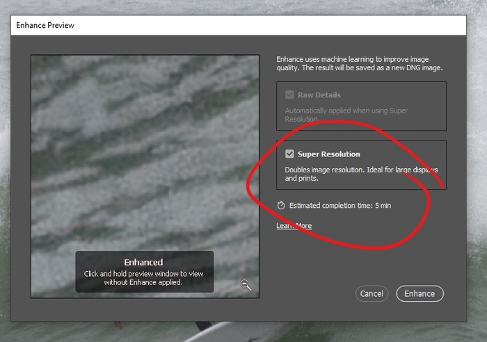 Testing Adobe's New Super Resolution on Heavily Cropped Images: What ...