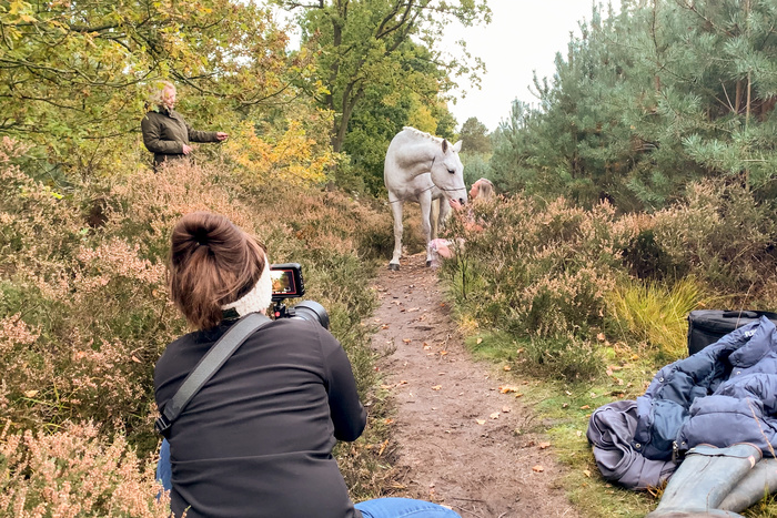 The Other Pandemic, Part Two: An Interview With Jessica McGovern ...