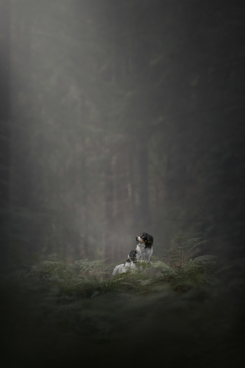 The Other Pandemic, Part Two: An Interview With Jessica McGovern ...