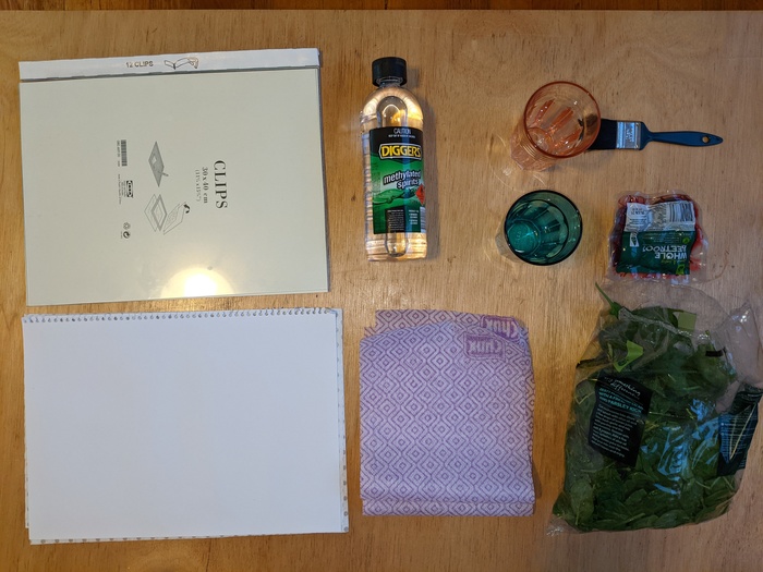 Making Images Without a Camera: How To Create Anthotypes | Fstoppers