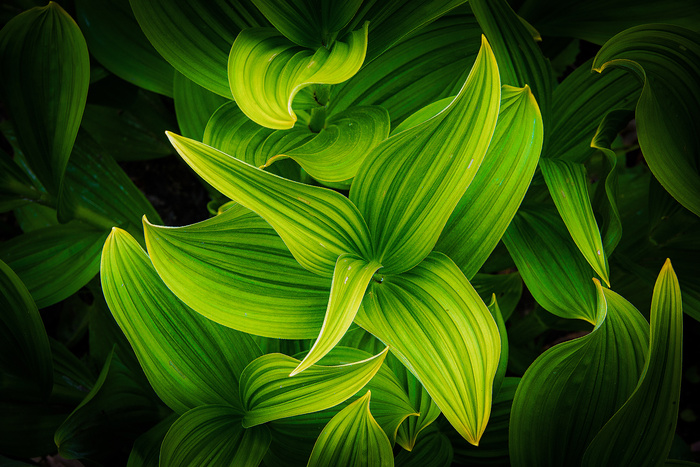 3 Fresh Tips for Spring Landscape Photography | Fstoppers