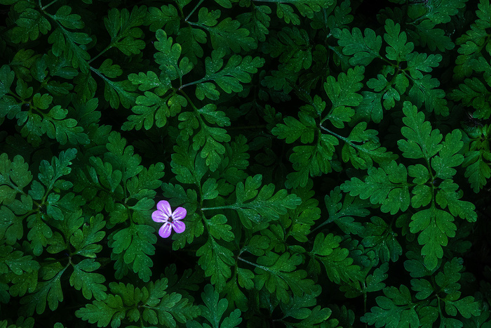 3 Fresh Tips for Spring Landscape Photography | Fstoppers