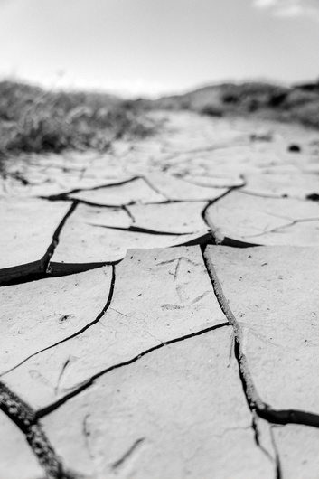 How to Photograph in Harsh Sun | Fstoppers