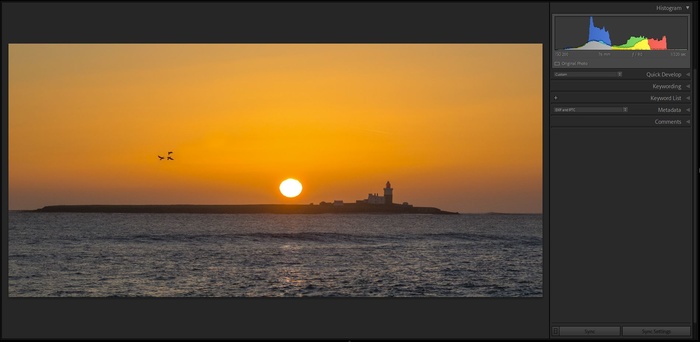 256 Shades of Gray: Improve Your Photography Using Your Camera’s ...