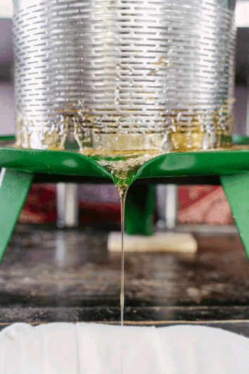 How to Create Eye-Catching Photo-Based GIFs in Photoshop | Fstoppers