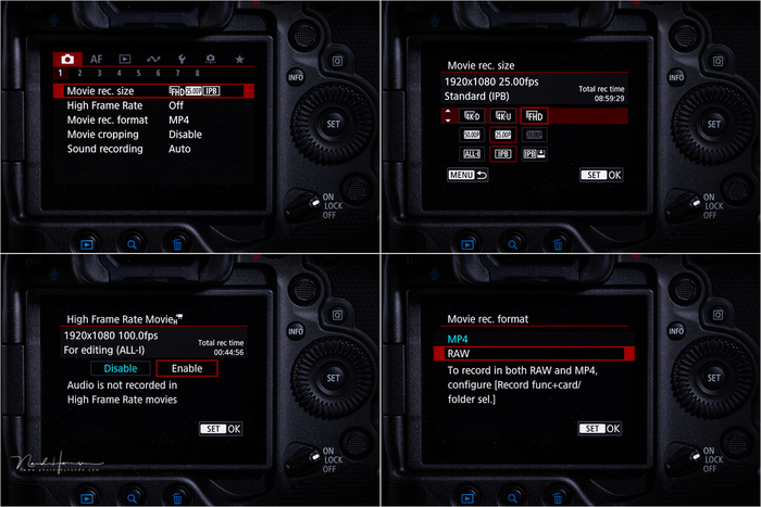We Review the Powerful Canon EOS R3 Mirrorless Camera | Fstoppers