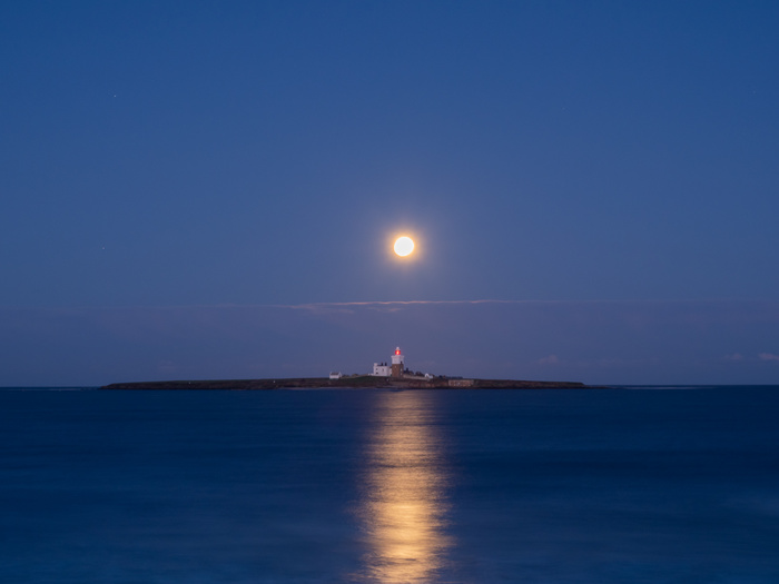 Perfect Your Photography Using the Seven Elements of Art | Fstoppers