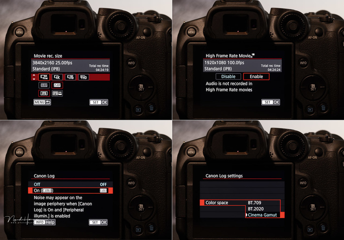 We Review the Canon EOS R7: How Does It Perform for Casual Photography? | Fstoppers