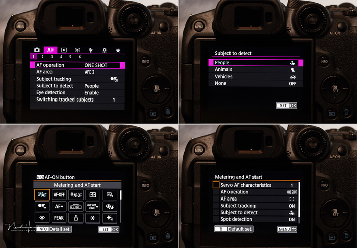 We Review the Canon EOS R7: How Does It Perform for Casual Photography ...