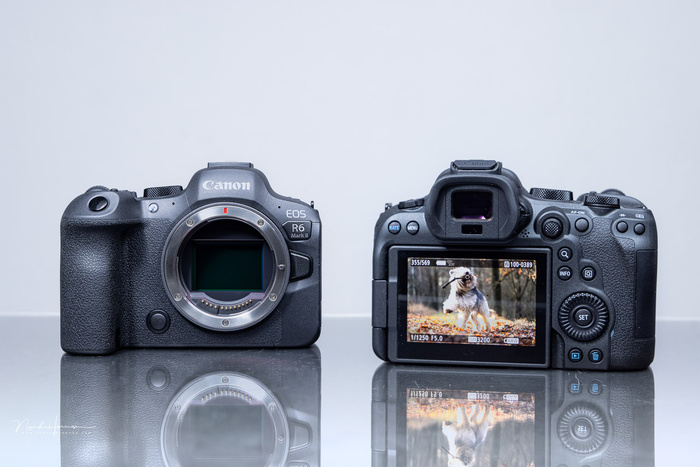 My Review of the Canon EOS R6 Mark II: Is It Better Than the First ...