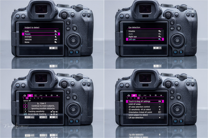 My Review of the Canon EOS R6 Mark II: Is It Better Than the First ...