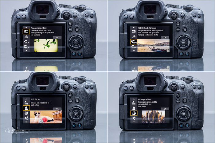 My Review of the Canon EOS R6 Mark II: Is It Better Than the First ...