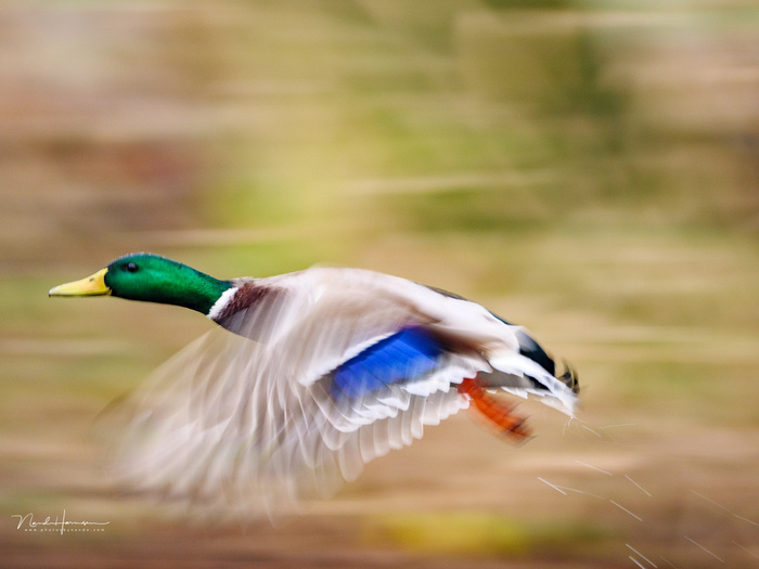 7 Ways to Capture Blur or the Illusion of Blur in a Photo | Fstoppers