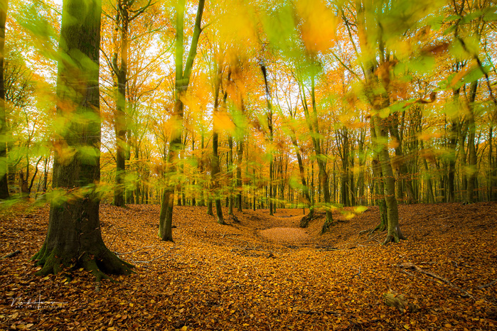 7 Ways to Capture Blur or the Illusion of Blur in a Photo | Fstoppers