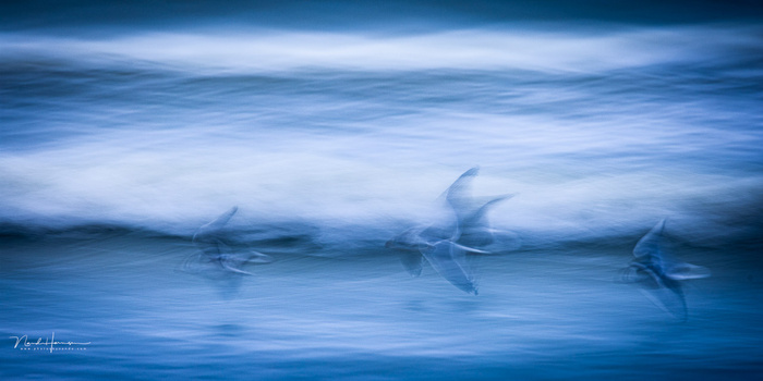 7 Ways to Capture Blur or the Illusion of Blur in a Photo | Fstoppers