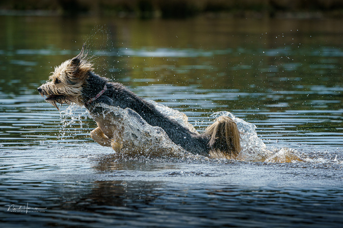 How to Use the Auto ISO Setting in the Best Possible Way | Fstoppers