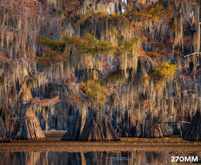 Super Telephoto Lenses: Amazing or Overrated? | Fstoppers