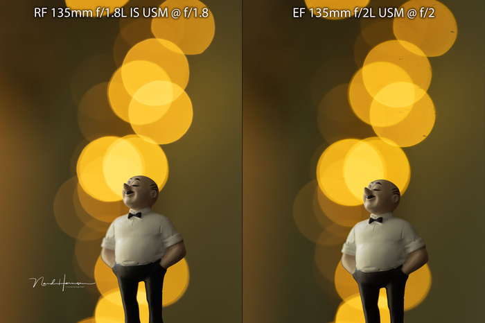 We Review the Amazing Canon RF 135mm f/1.8L IS USM | Fstoppers