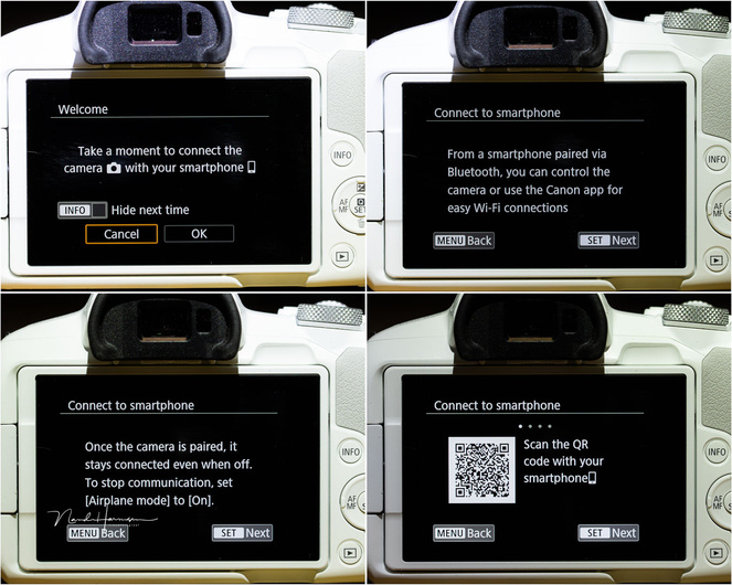 We Review the Tiny Canon EOS R50 Mirrorless Camera | Fstoppers