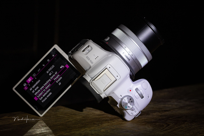 We Review the Tiny Canon EOS R50 Mirrorless Camera | Fstoppers