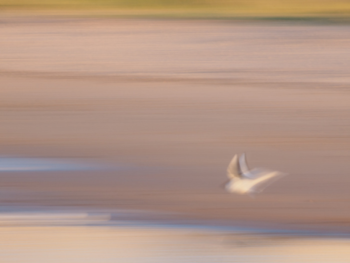 Why Embracing Abstract Photography Will Improve All Your Images and How ...