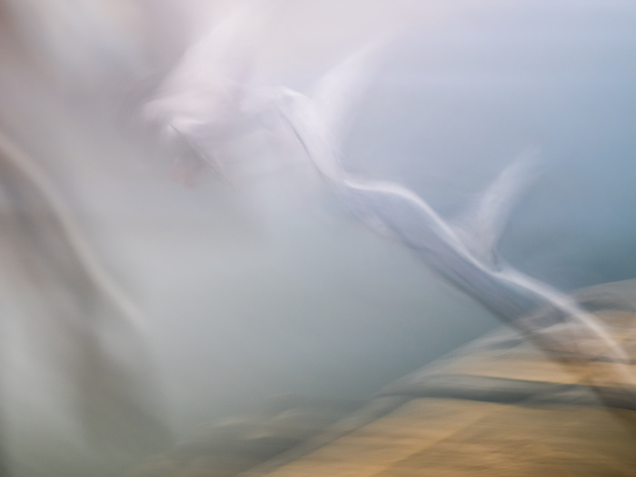 Why Embracing Abstract Photography Will Improve All Your Images and How ...