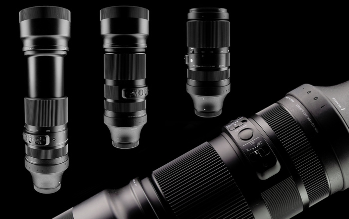 Flying High: We Review the Sigma 100-400 f/5-6.3 for Fuji X Mount ...