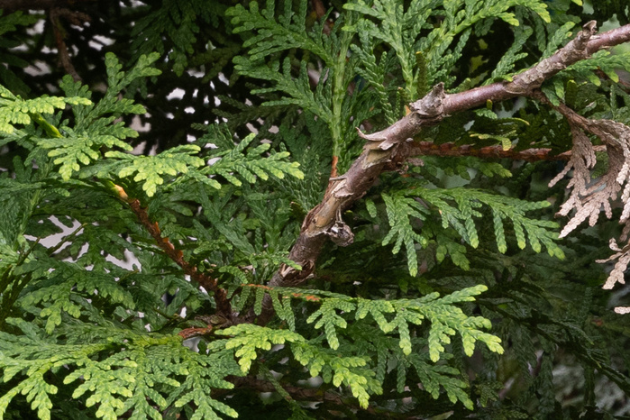 Great Camera Lens Filters for Landscape Photography | Fstoppers