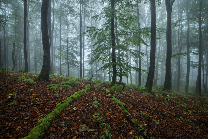 Awesome Lightroom Technique to Add Atmosphere | Fstoppers